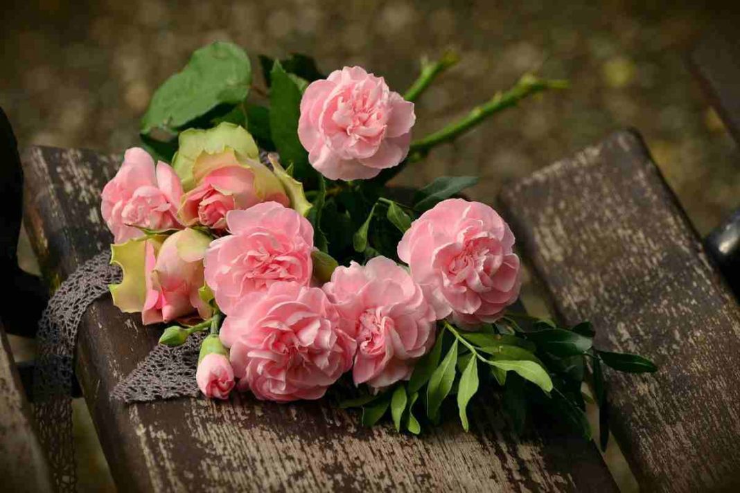 Rose bellissime e a costo zero: svelato il segreto dei fioristi | Il ...